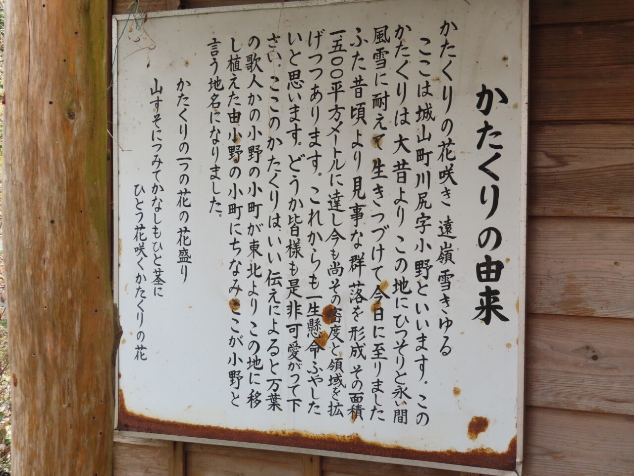 城山かたくりの里（2025年4月8日（火））: ウォーキングの写真（野鳥・トンボ・蝶・野の花）